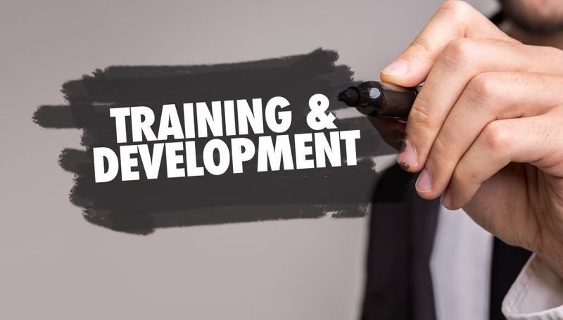 Understanding The Importance Of Employee Training And Development